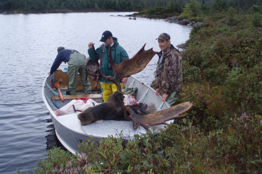 Moose 07 - Spruce Pond OutfittersSpruce Pond Outfitters