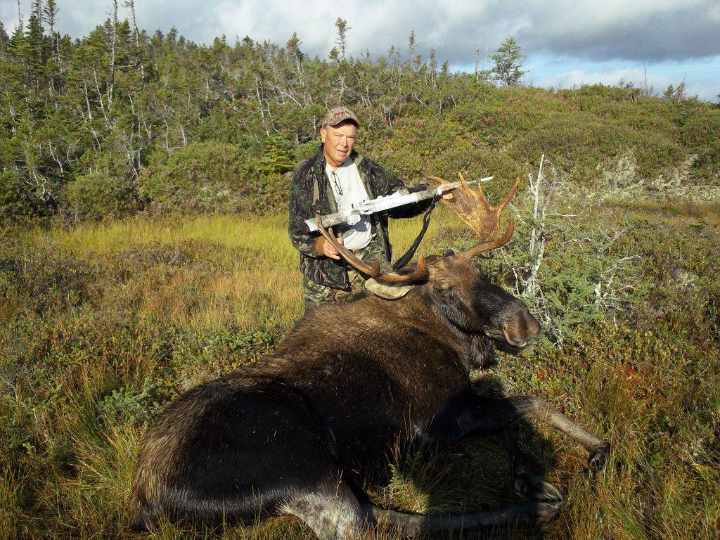 10 Best Tips and Techniques for using a moose call | Spruce Pond Outfitters