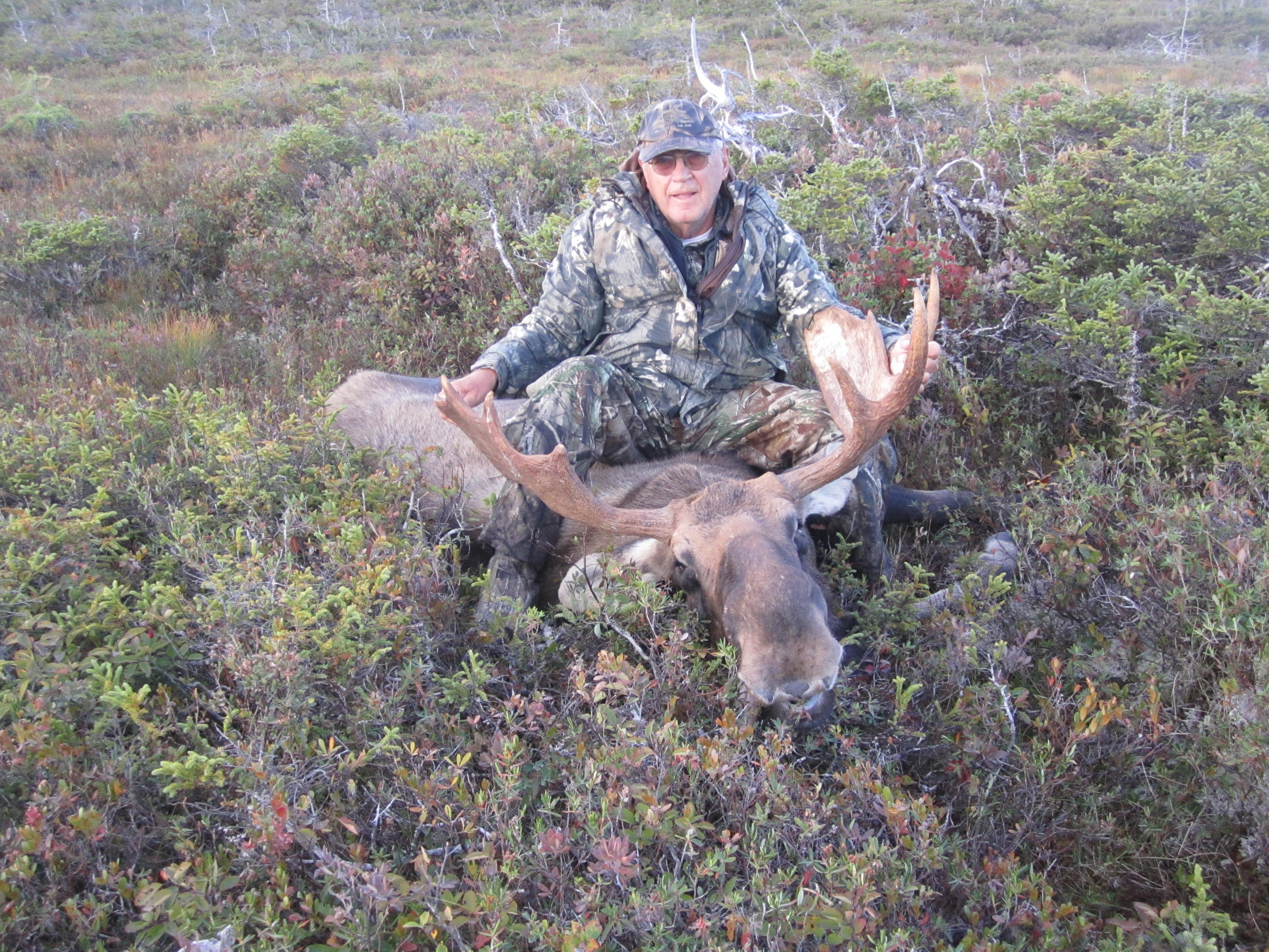 Hunting for a bull in November - Spruce Pond OutfittersSpruce Pond ...