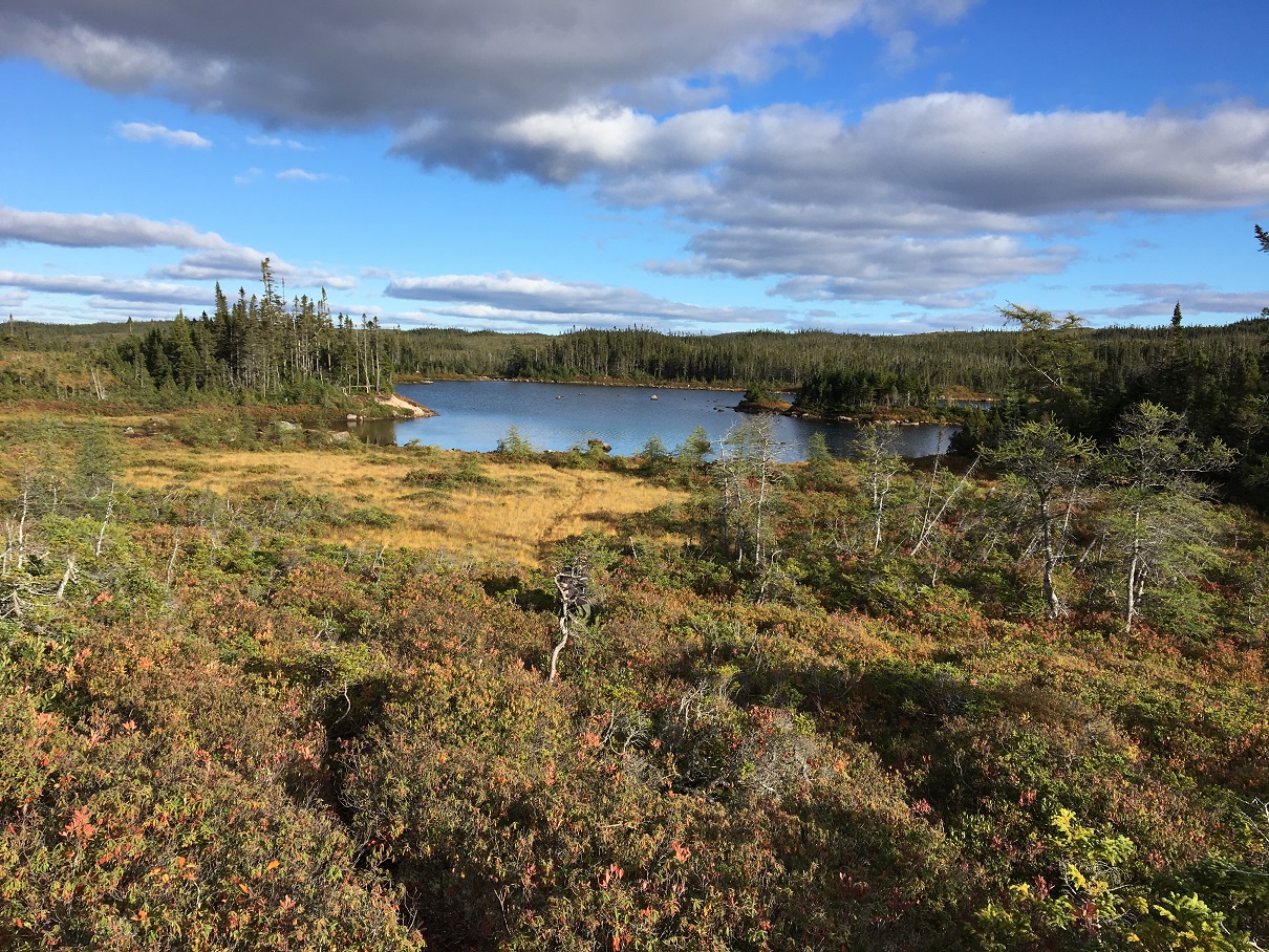 Image Gallery | Spruce Pond Outfitters